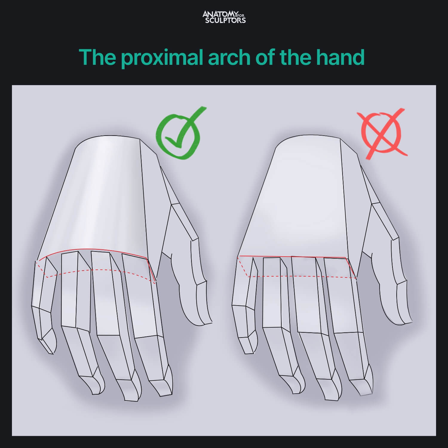 3D Reference Tool | by Anatomy For Sculptors