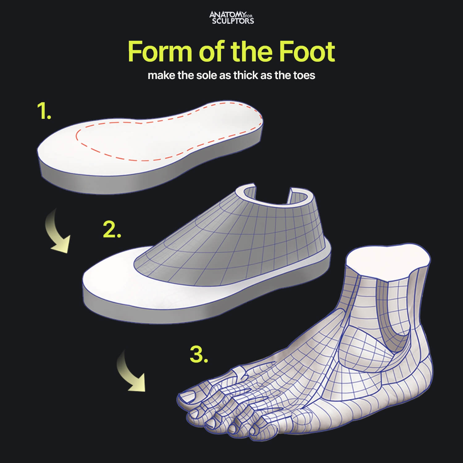 3D Reference Tool | by Anatomy For Sculptors