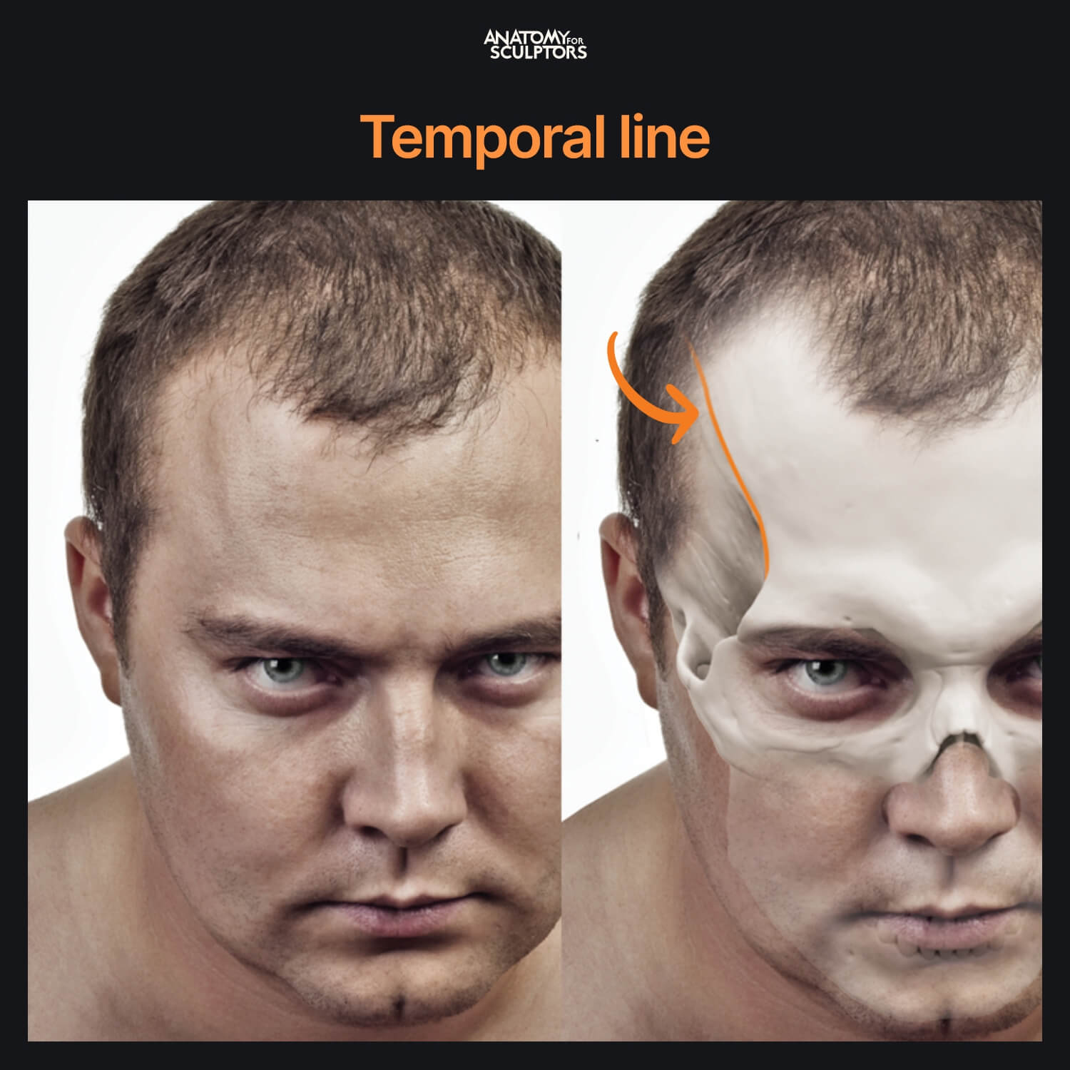 3D Reference Tool | by Anatomy For Sculptors