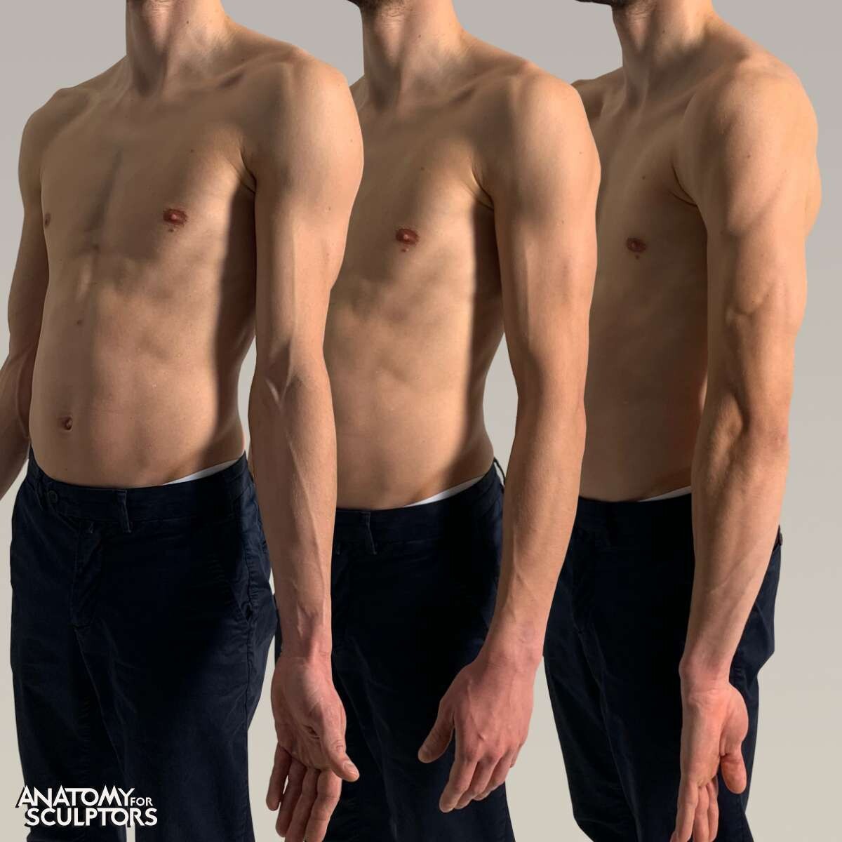 3D Reference Tool | by Anatomy For Sculptors