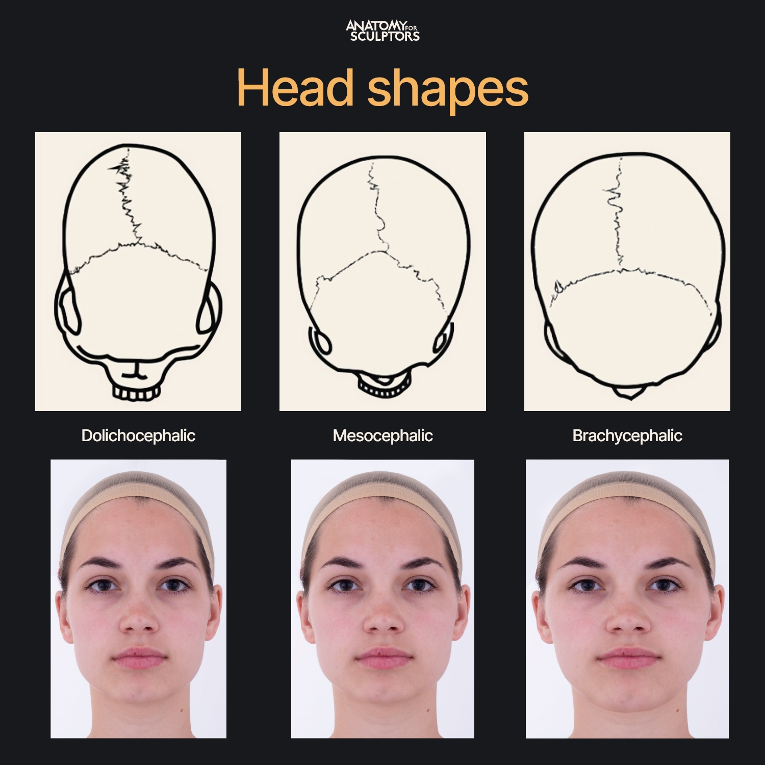 3D Reference Tool | by Anatomy For Sculptors