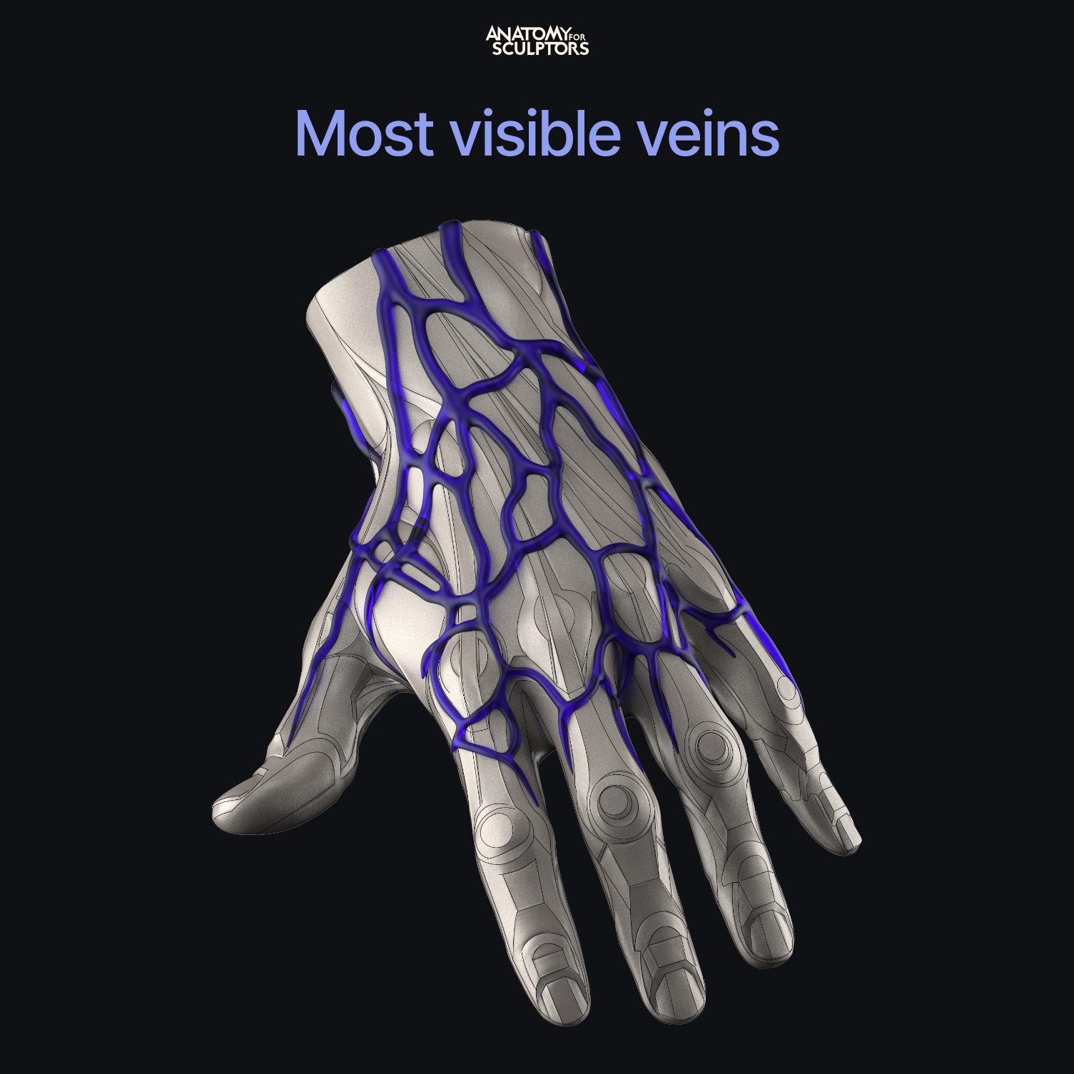 3D Reference Tool | by Anatomy For Sculptors