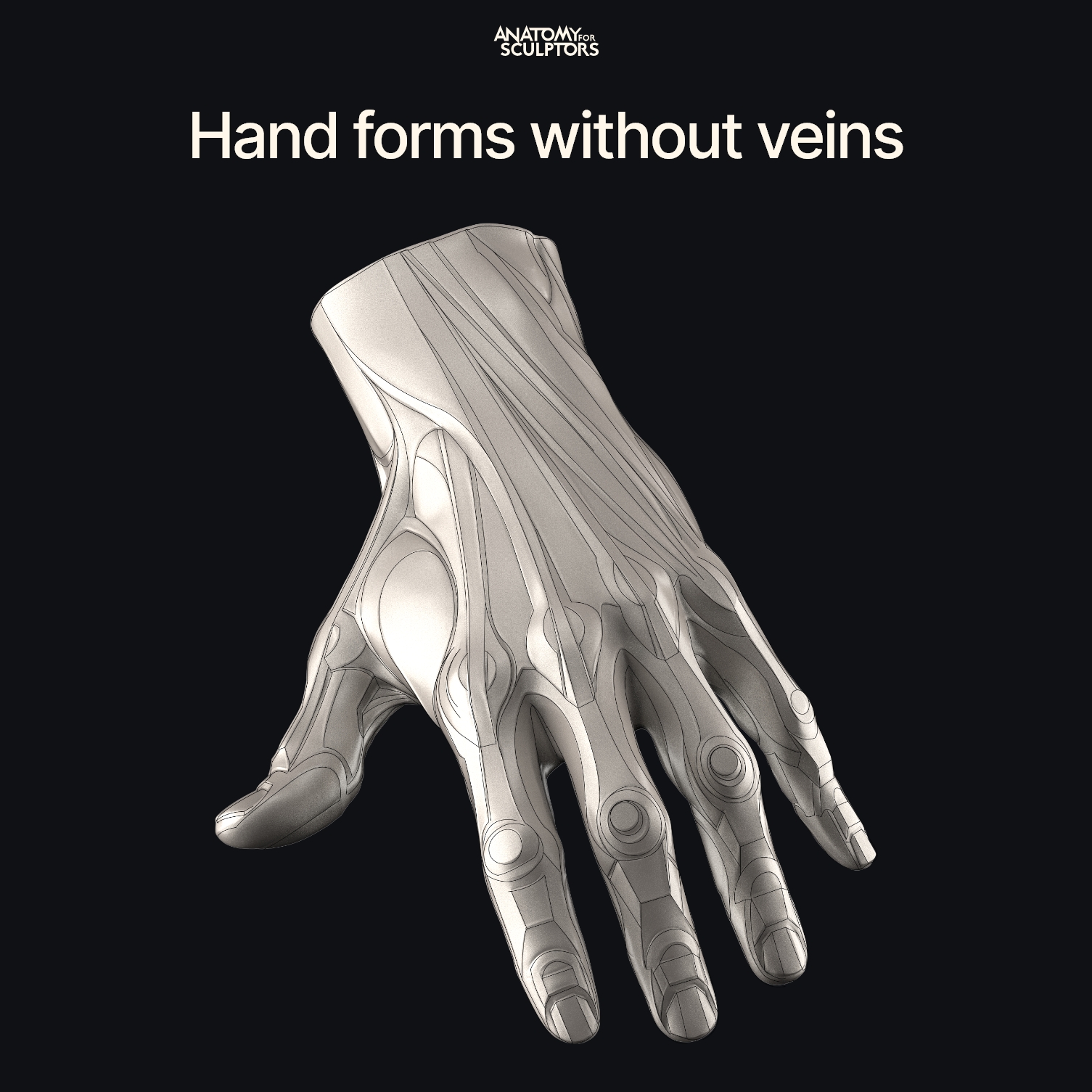 3D Reference Tool | by Anatomy For Sculptors