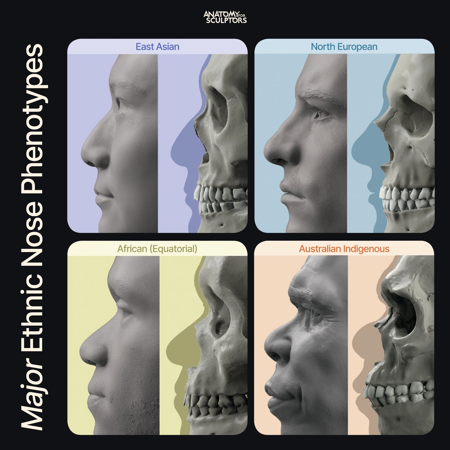 3D Reference Tool | by Anatomy For Sculptors