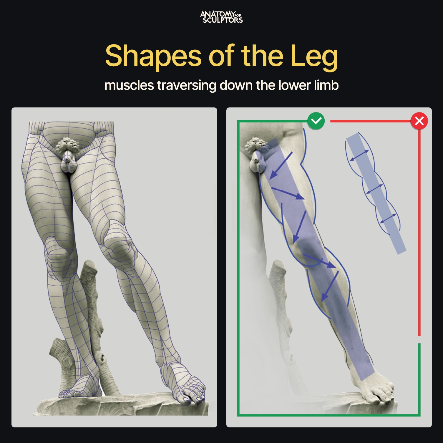 3D Reference Tool | by Anatomy For Sculptors