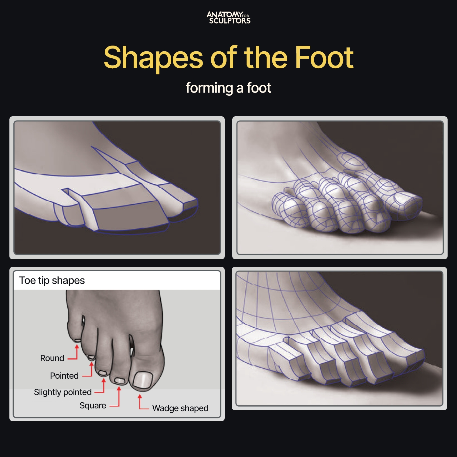 3D Reference Tool | by Anatomy For Sculptors
