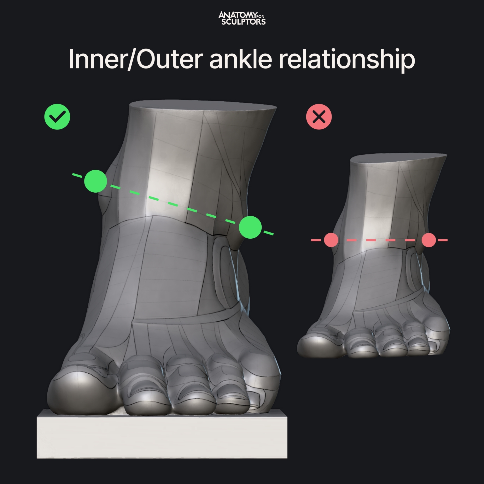 3D Reference Tool | by Anatomy For Sculptors